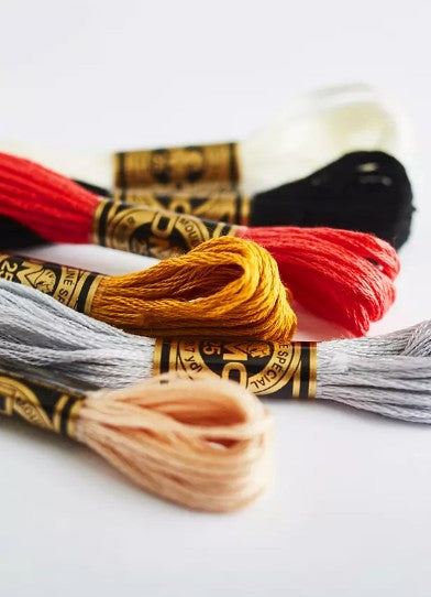 DMC 6 Strand Floss – The Stitchy Stash